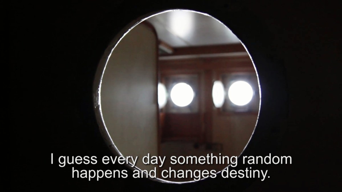 Distant Memory / new video – Valerie Wolf Gang